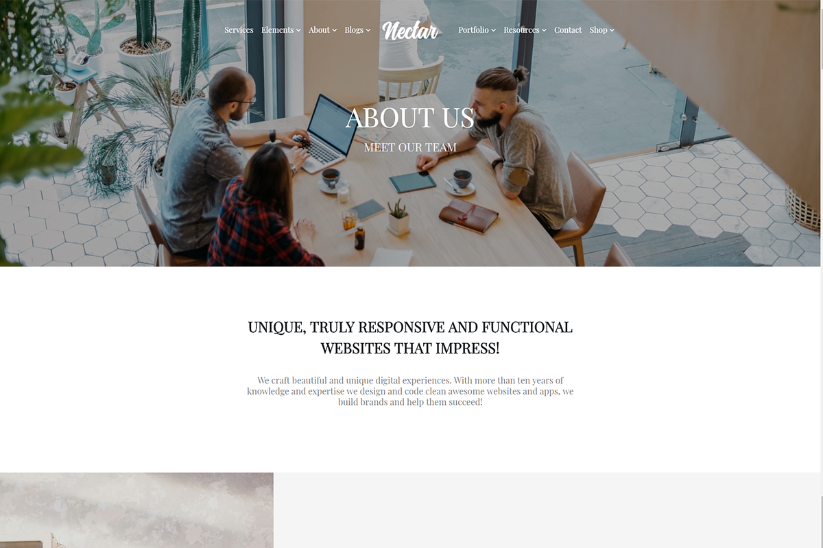 Nectar Multi-Purpose WordPress Theme