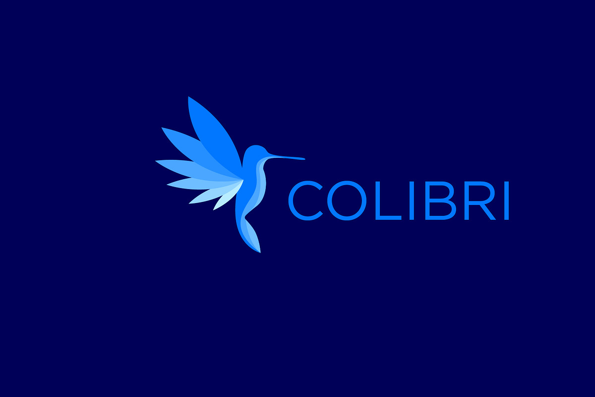 Colibry or Humming Bird Logo, a Branding & Logo Template by Suhandi
