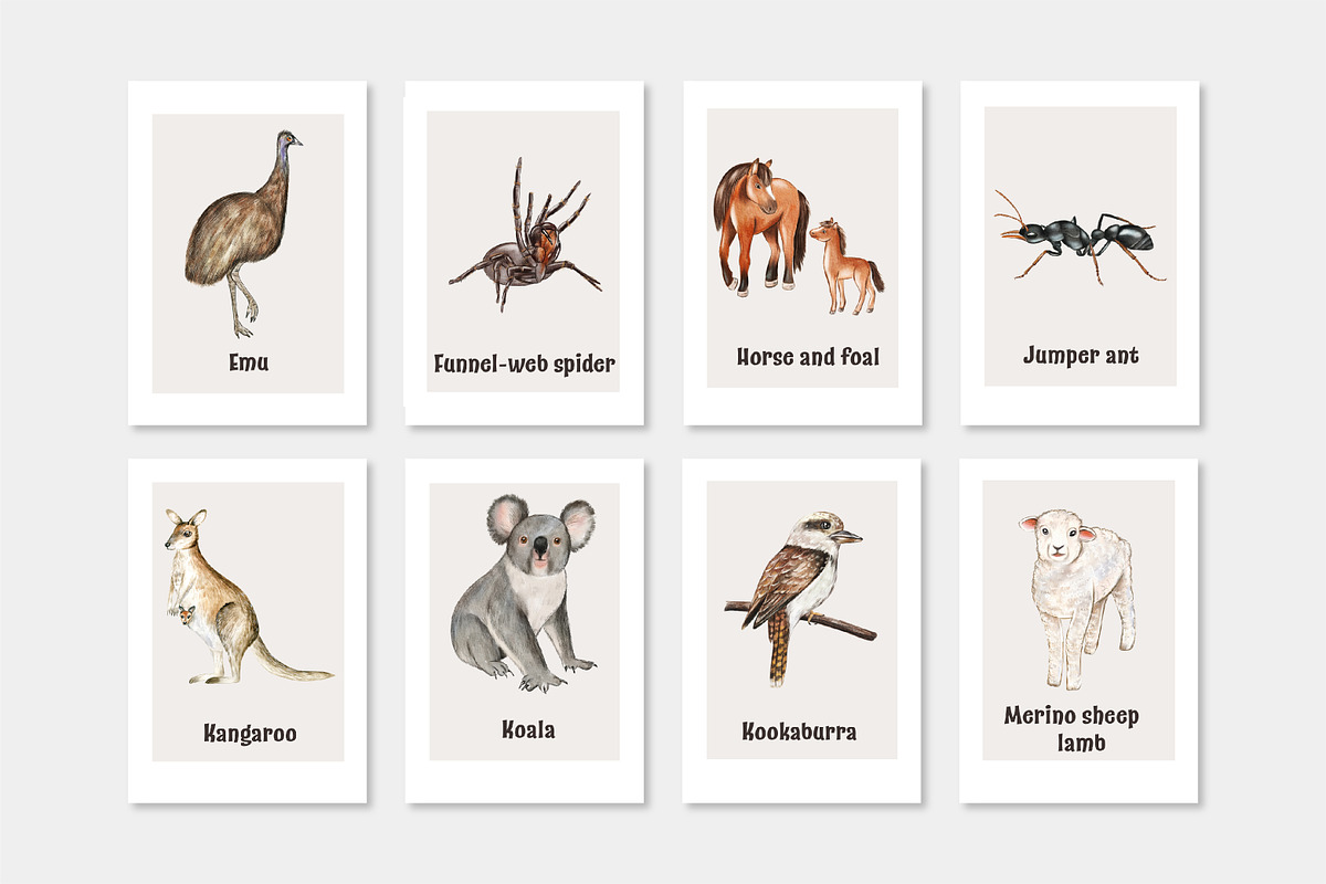 AUSTRALIAN ANIMALS printable cards