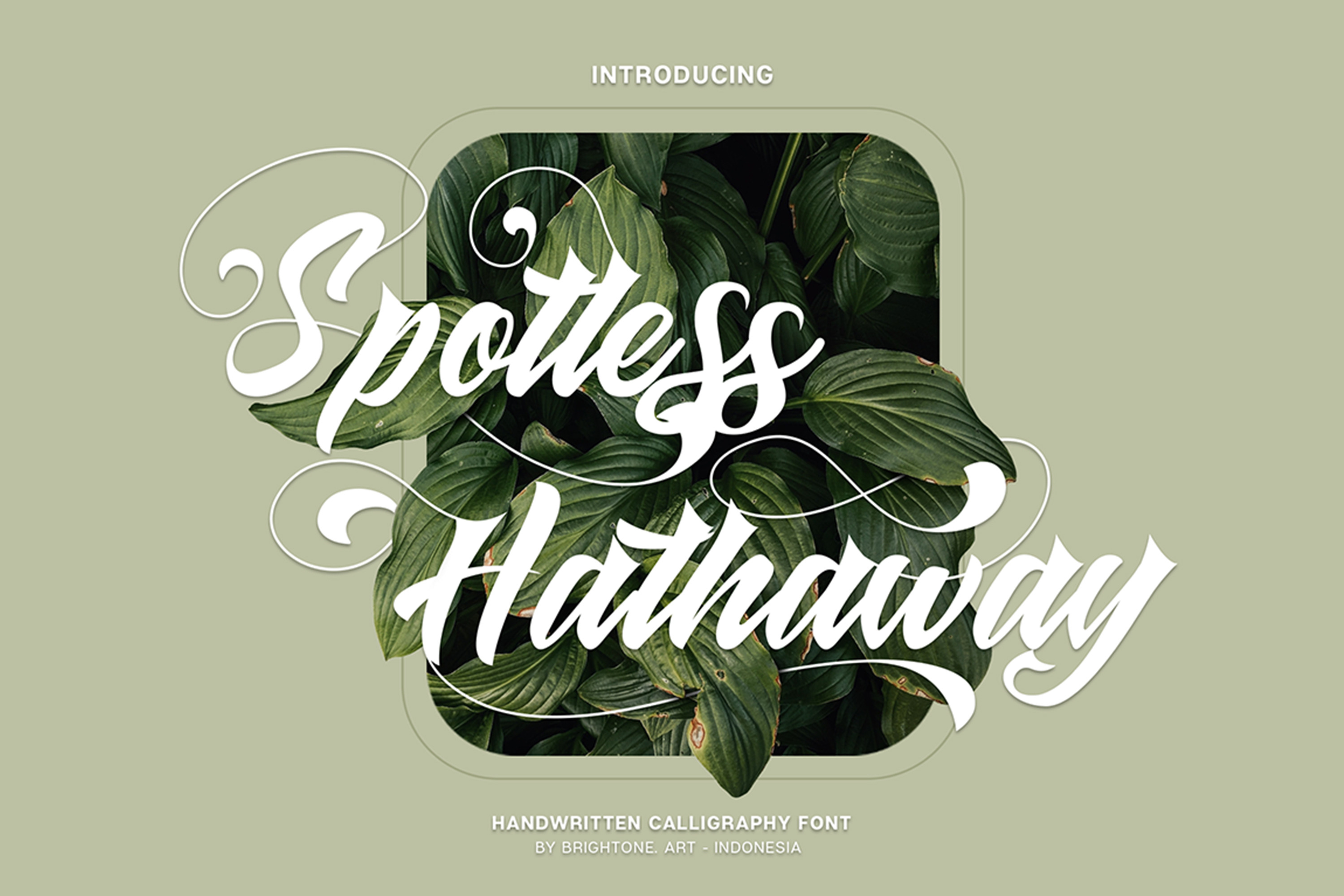 Spotless Hattaway - Stylish Font, a Script Font by Brightone | Creative ...