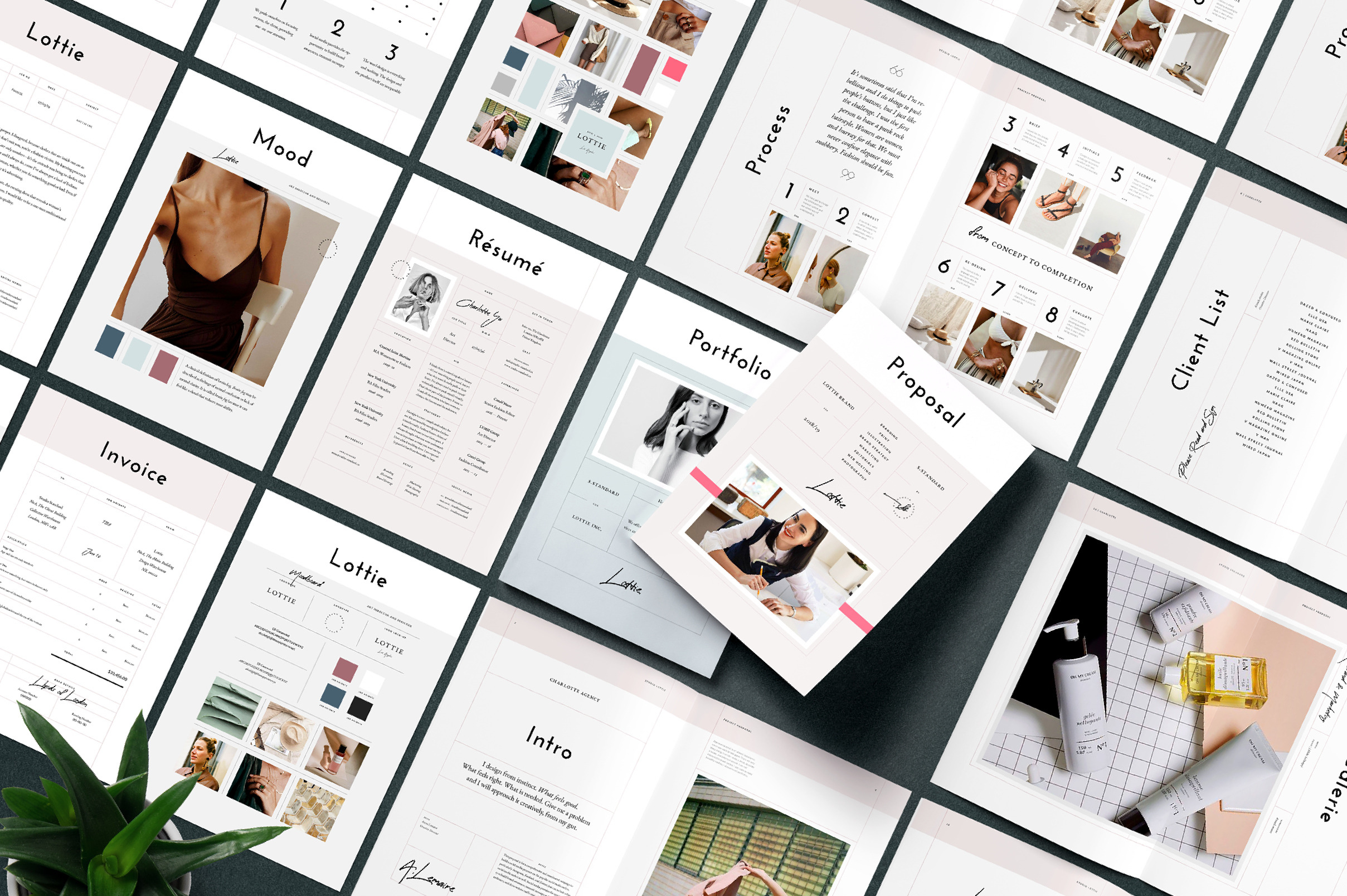 Lottie Pitch Pack, a Brochure Template by Studio Standard