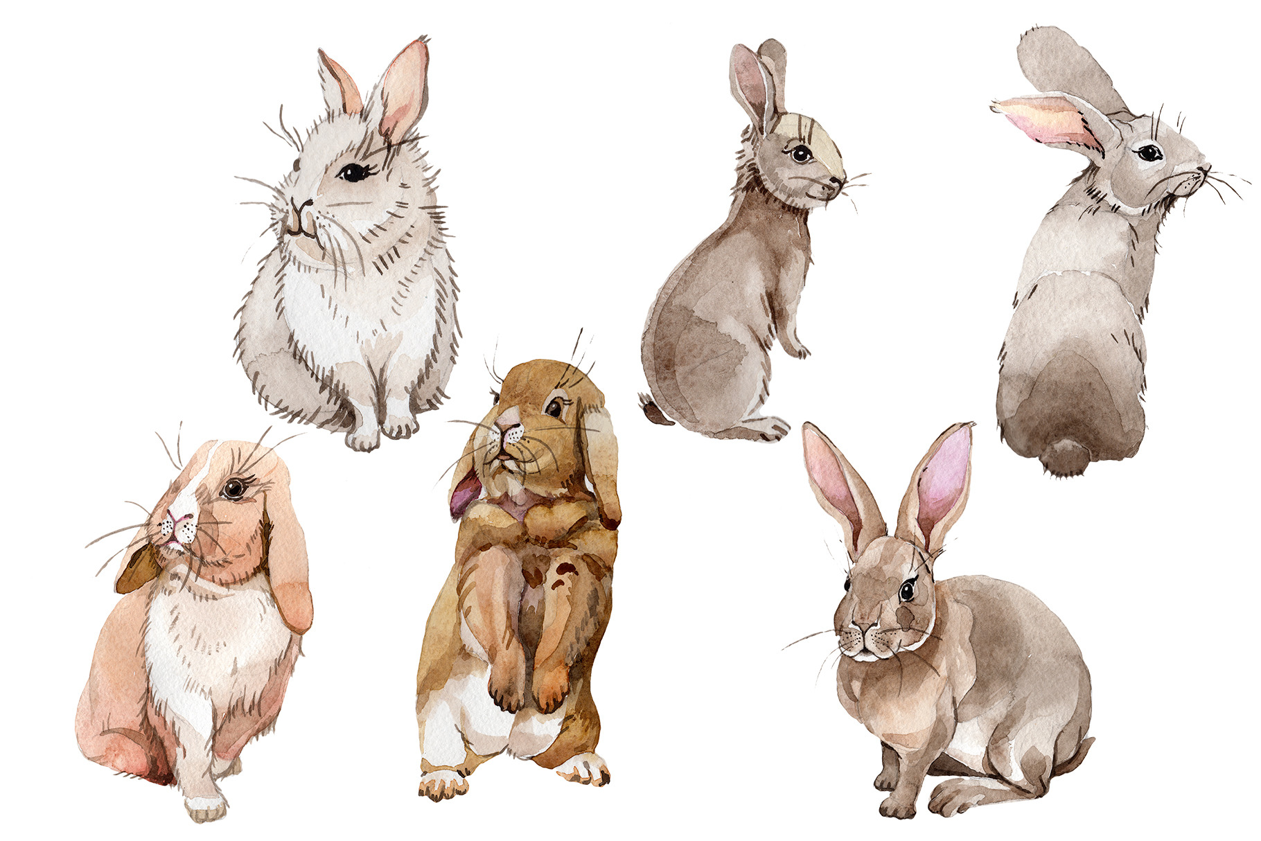 Easter bunny Watercolor png, an Illustration by WatercolorPNG.com