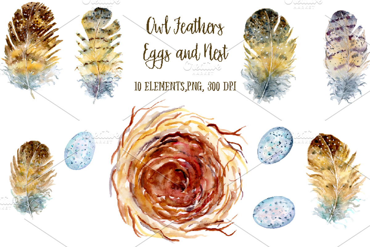 Owl Feather Illustration Clip Art, an Illustration by Corner Croft