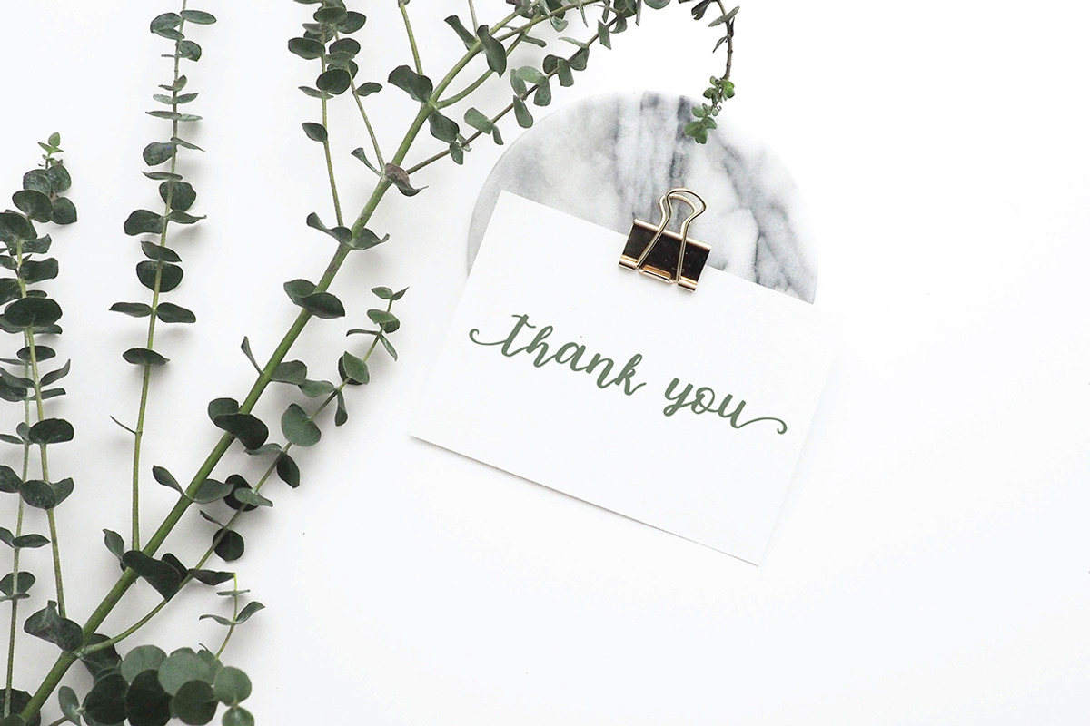 Michelle script with extras, a Script Font by Designwork