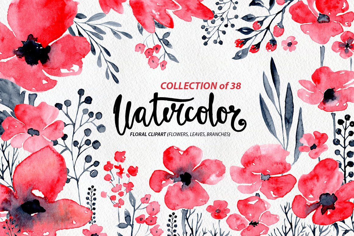 38 Watercolor poppy flowers, leaves, a Graphic by GraphicsDish