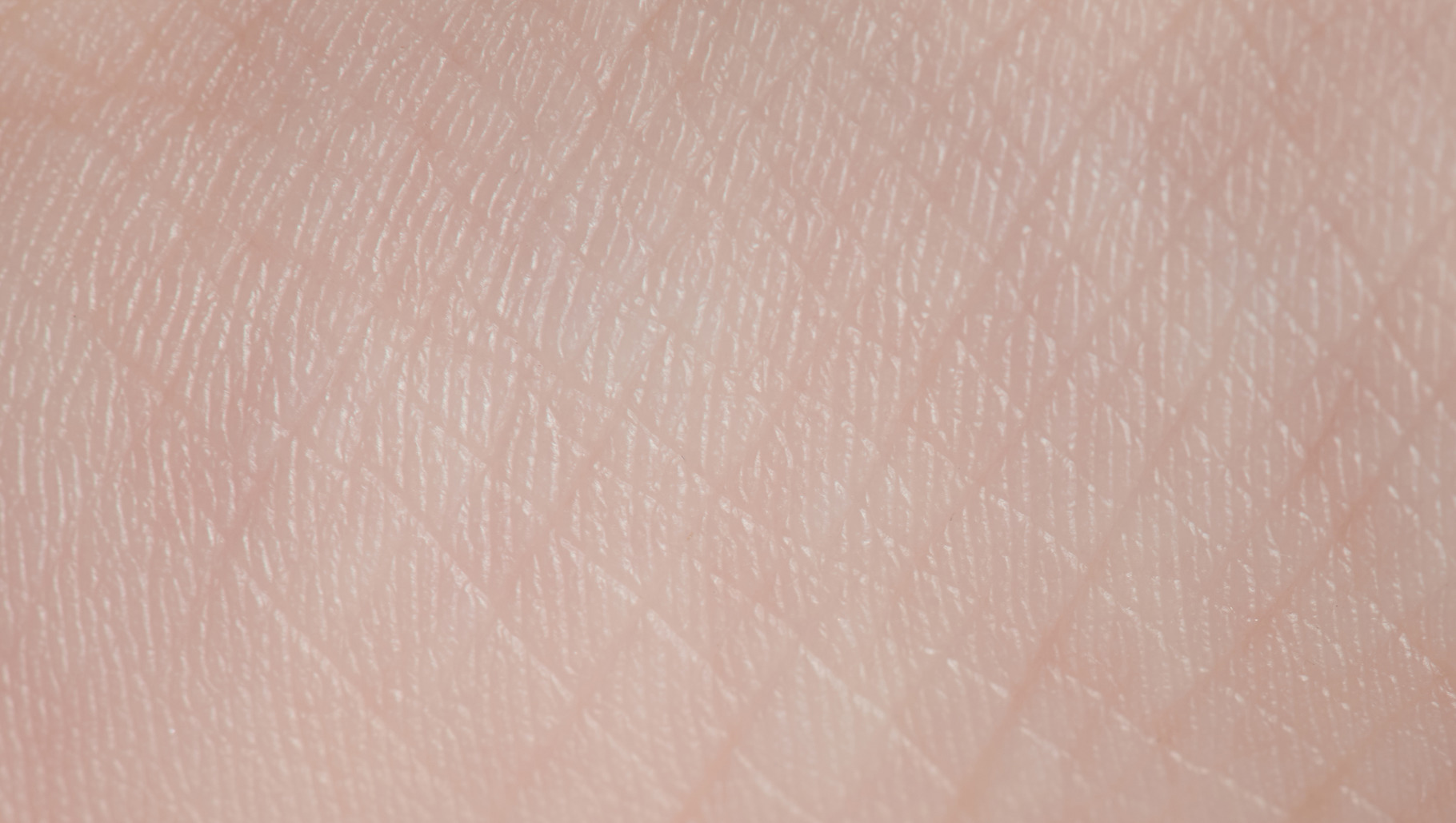 Texture of white human skin | Health & Medical Stock Photos ~ Creative ...