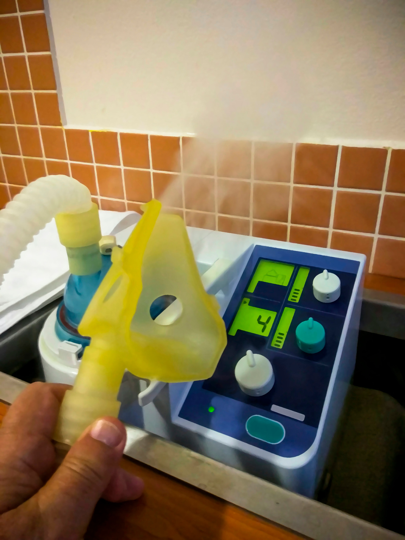 Device for inhalation of mineral water steam featuring tree, medical ...