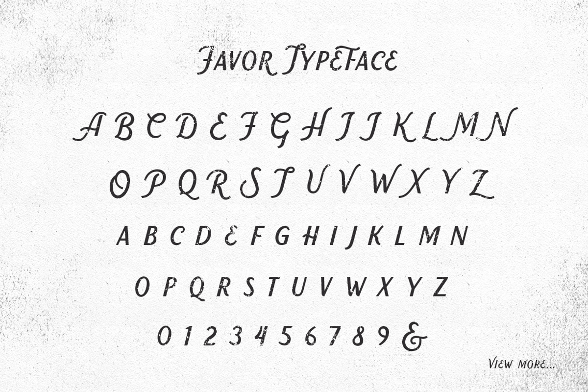 Favor Typeface, a Font by hampura