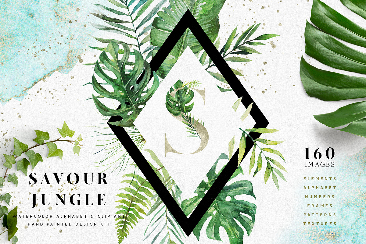 Watercolor Tropical Jungle Alphabet, a Decorative Illustration by Veris ...