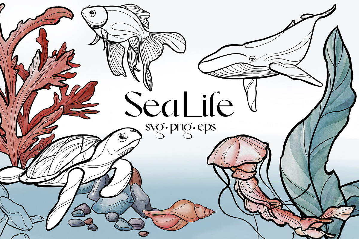 Sea Life. Line art and color, an Animal Illustration by DamriNa art