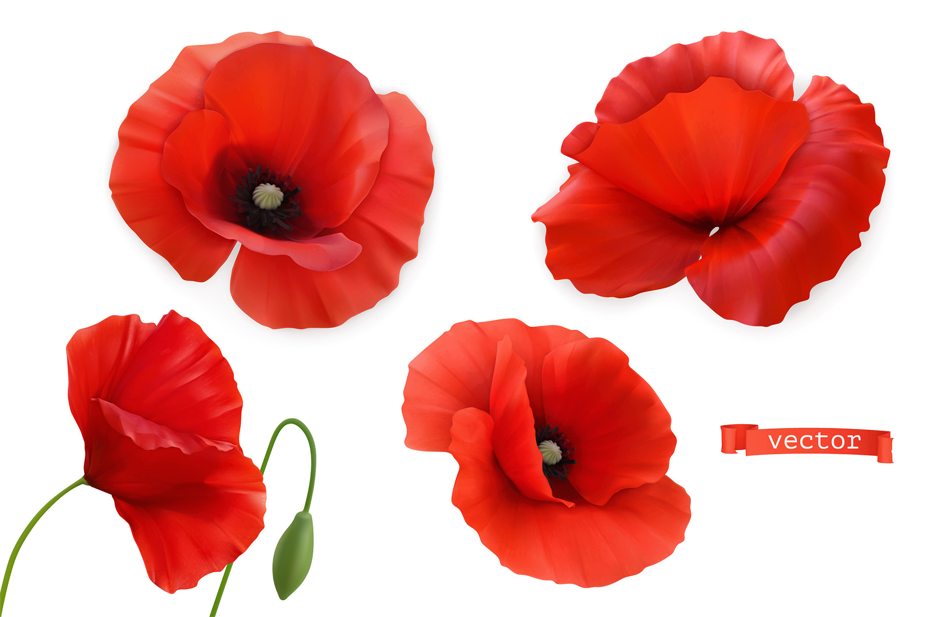 Red poppies, flowers. Poppy Day | Icons ~ Creative Market