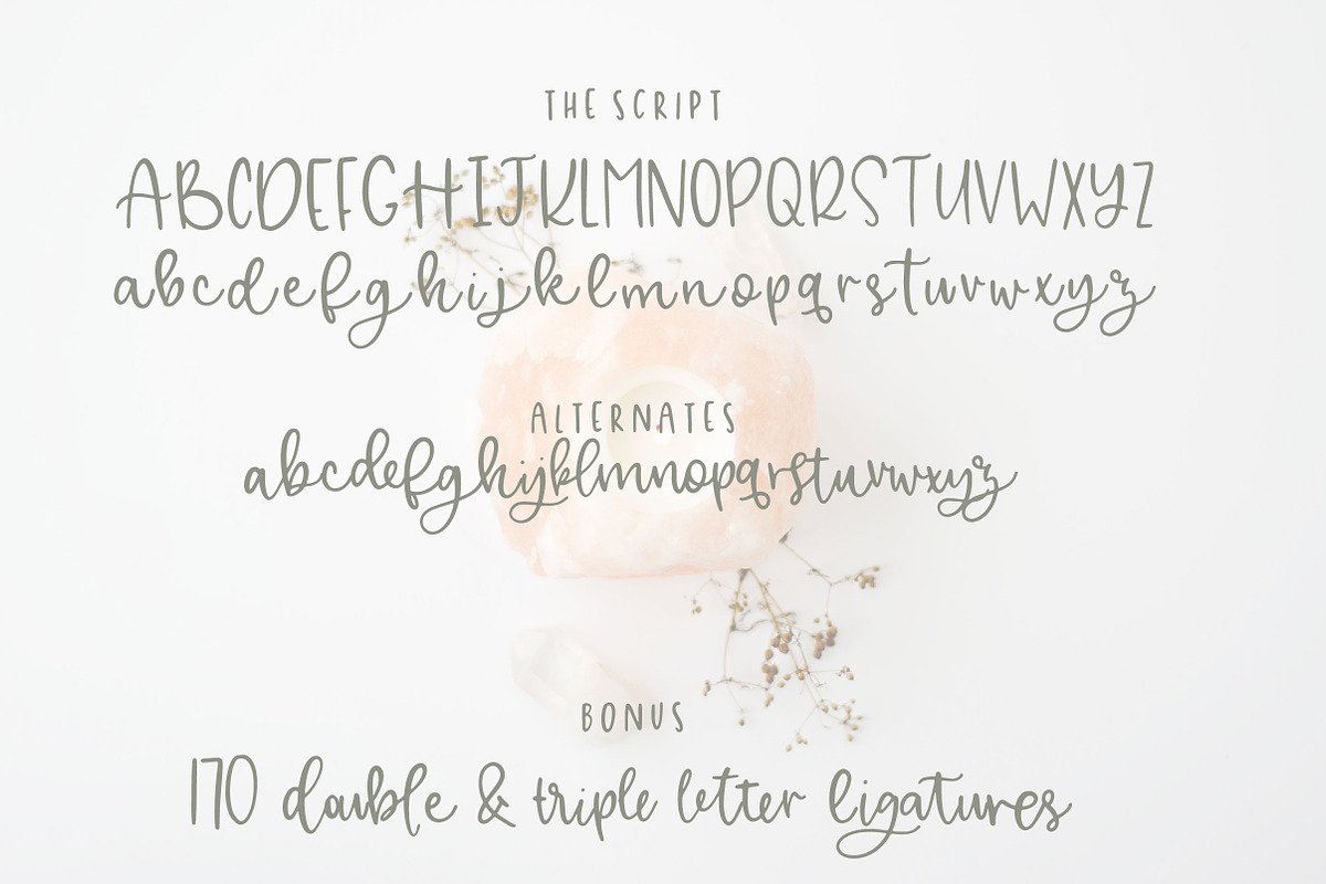 Alley - A Font Duo, a Script Font by OnTheSpotStudio
