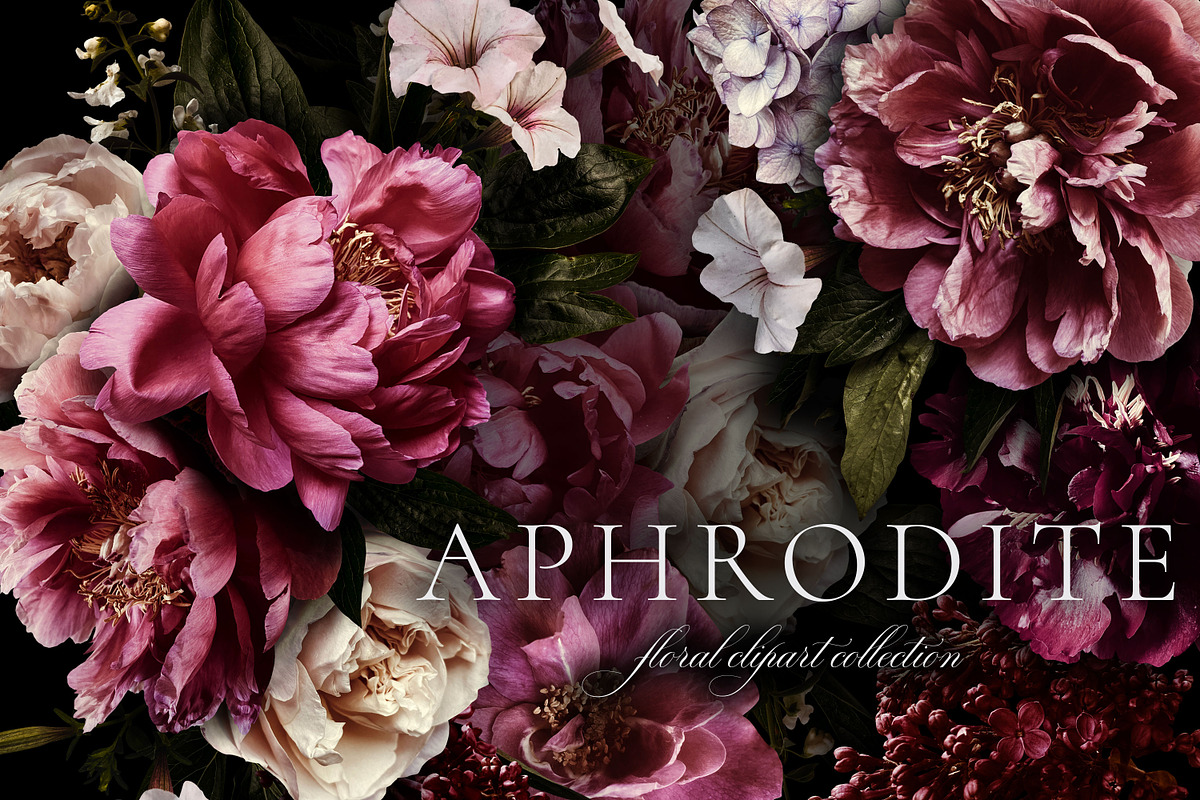 Aphrodite Floral Clip Art Collection, an Object Graphic by Eclectic Anthology
