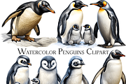 Watercolor Penguin Clipart, an Object Graphic by ArtisticTimberStudio