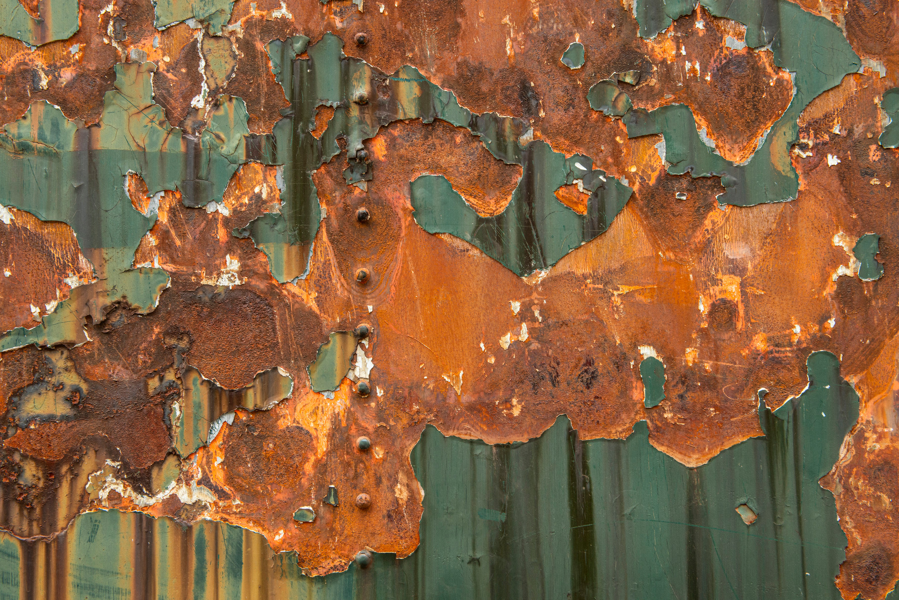 Rusted green iron surface of a train, an Abstract Photo by Elles Rijsdijk