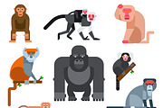 Monkey vector illustration | Animal Illustrations ~ Creative Market
