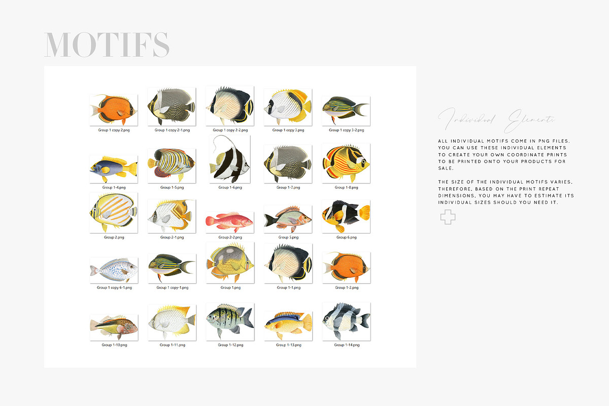 Pez, Exotic fish Patterns & Motifs, a Pattern Graphic by Pink Linen
