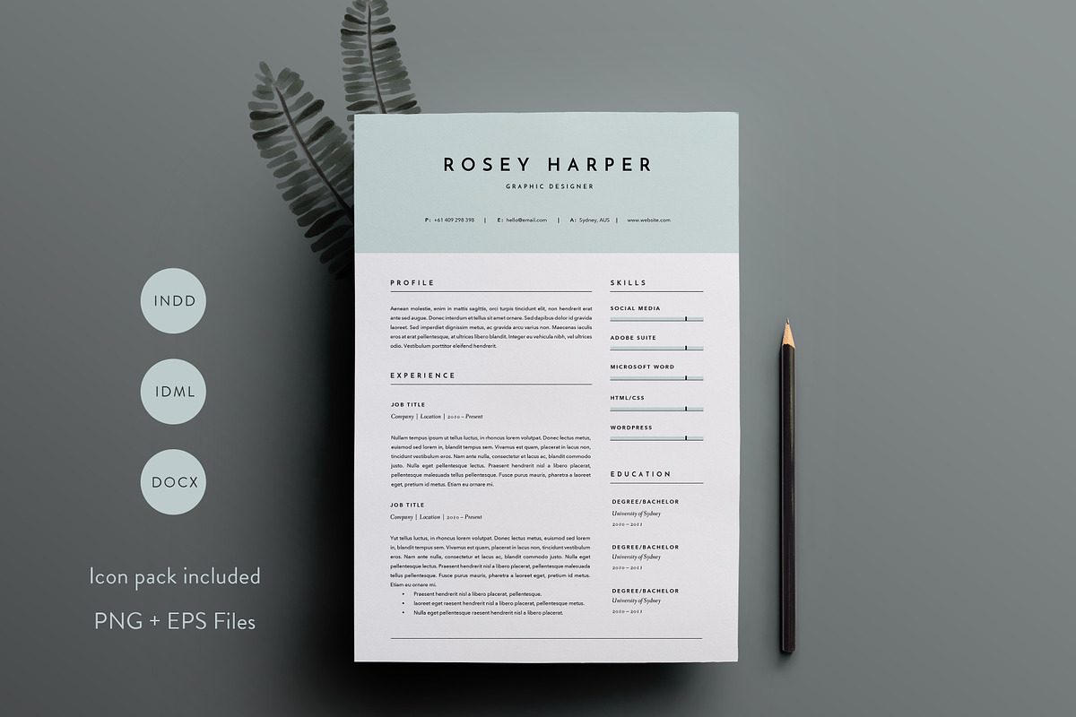 3 Page Resume Template | INDD + DOCX, a Resume Template by Basic ...