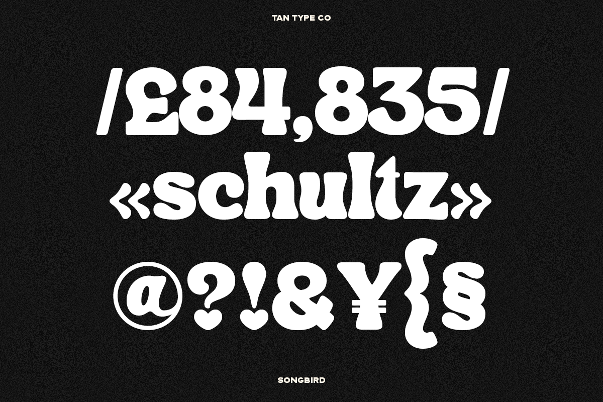 TAN - SONGBIRD, a Font by TanType