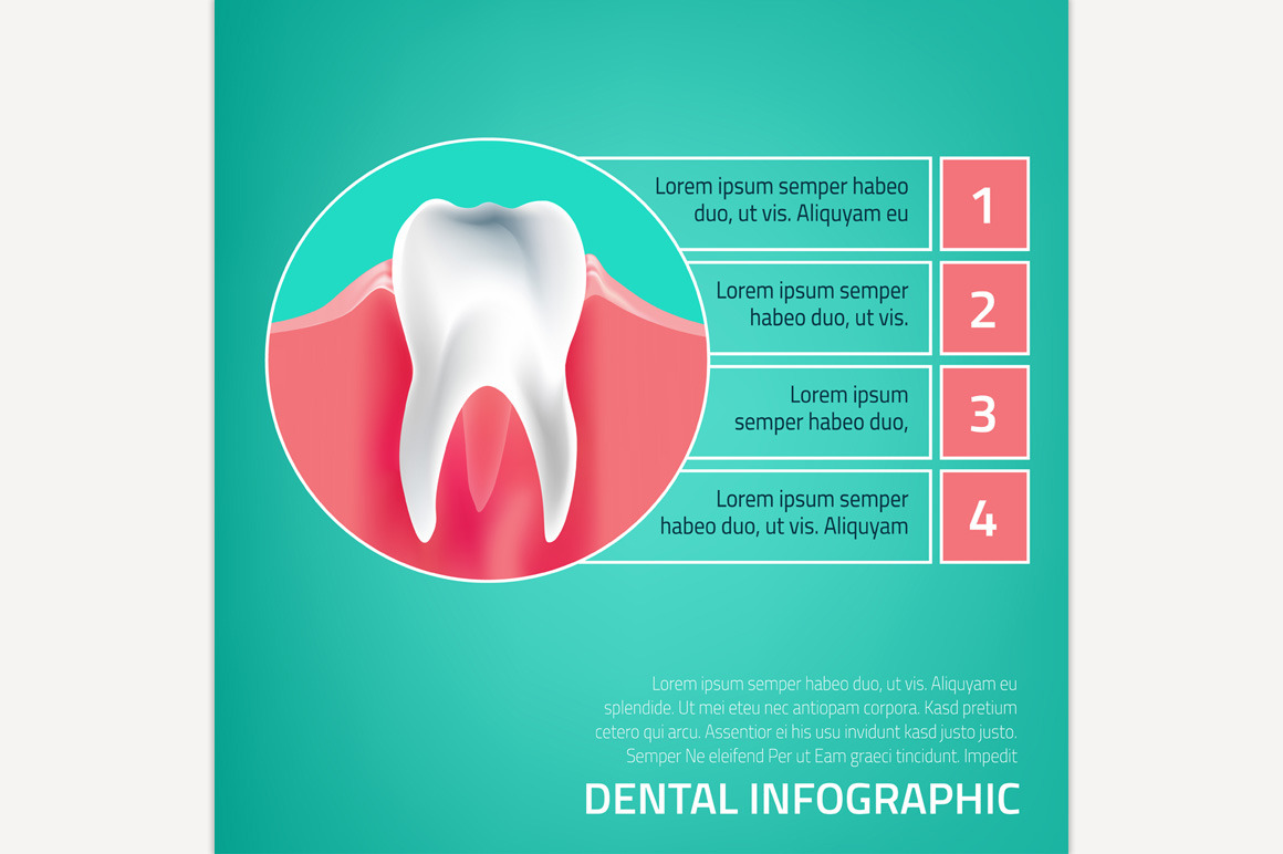 Teeth Infographic, an Education Illustration by Anna's Shop | Creative ...
