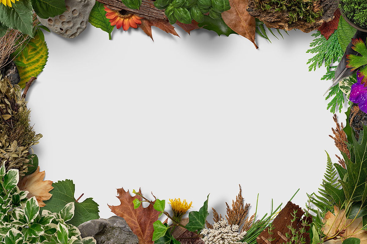 5 Nature Frames, an Object Graphic by h3design