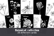 Botanical cards collection | Decorative Illustrations ~ Creative Market