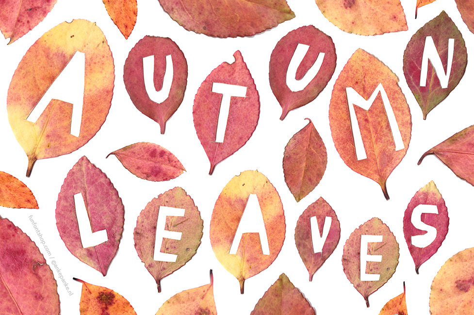 Autumn Leaves handmade letters | Graphics ~ Creative Market