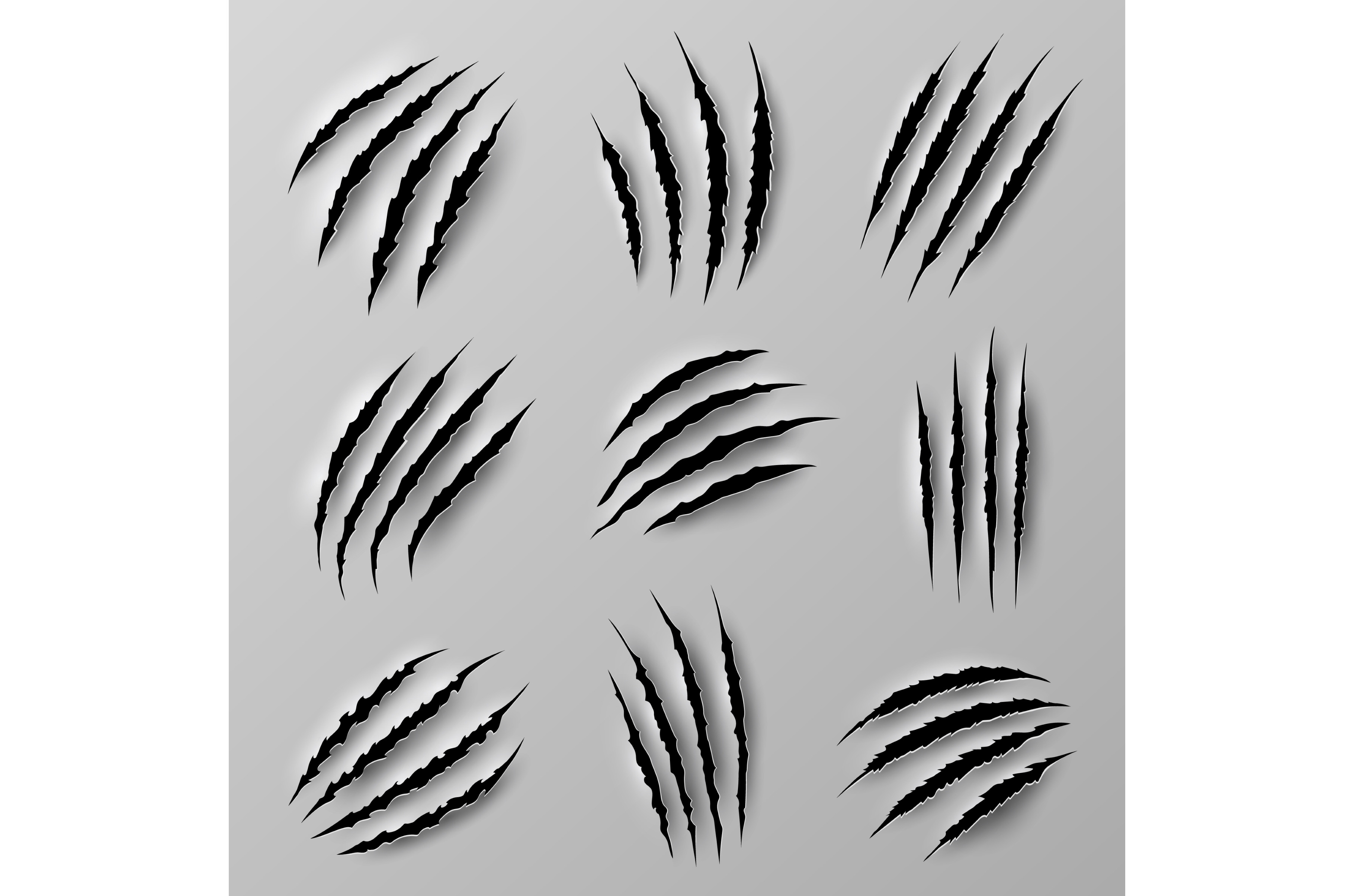 Claw marks, paw strike scratches | Animal Illustrations ~ Creative Market