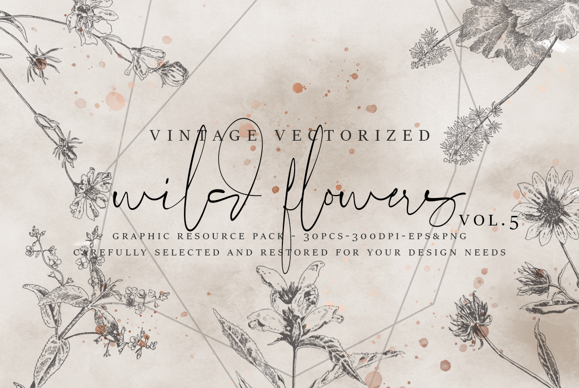 VintageVectorized-Wildflower Clipart, an Illustration by ThirdTryCharm