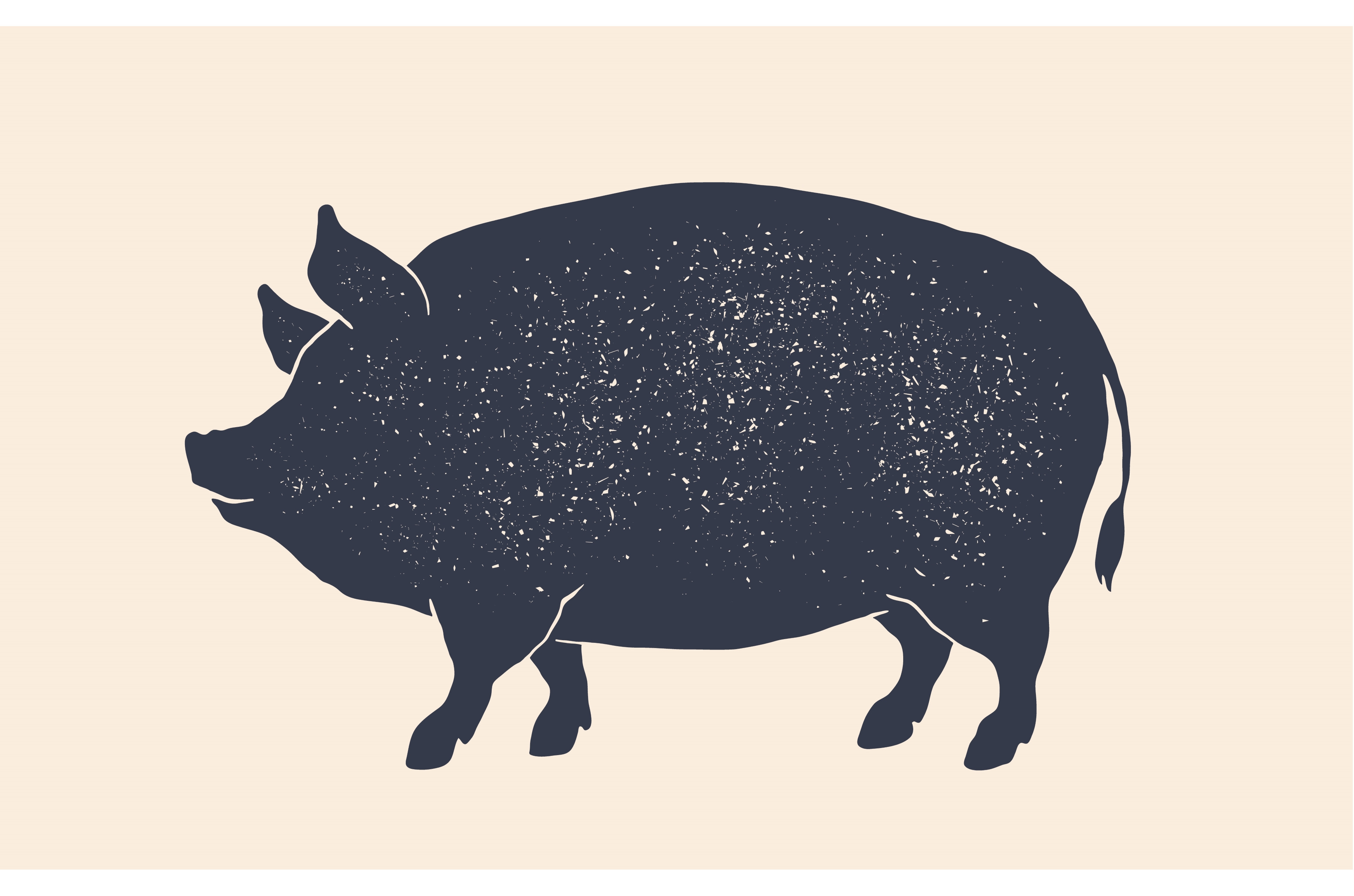 Pork, pig. Vintage retro print | Animal Illustrations ~ Creative Market