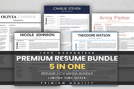 Resume CV Template With Photo, a Resume Template by Wow Designs