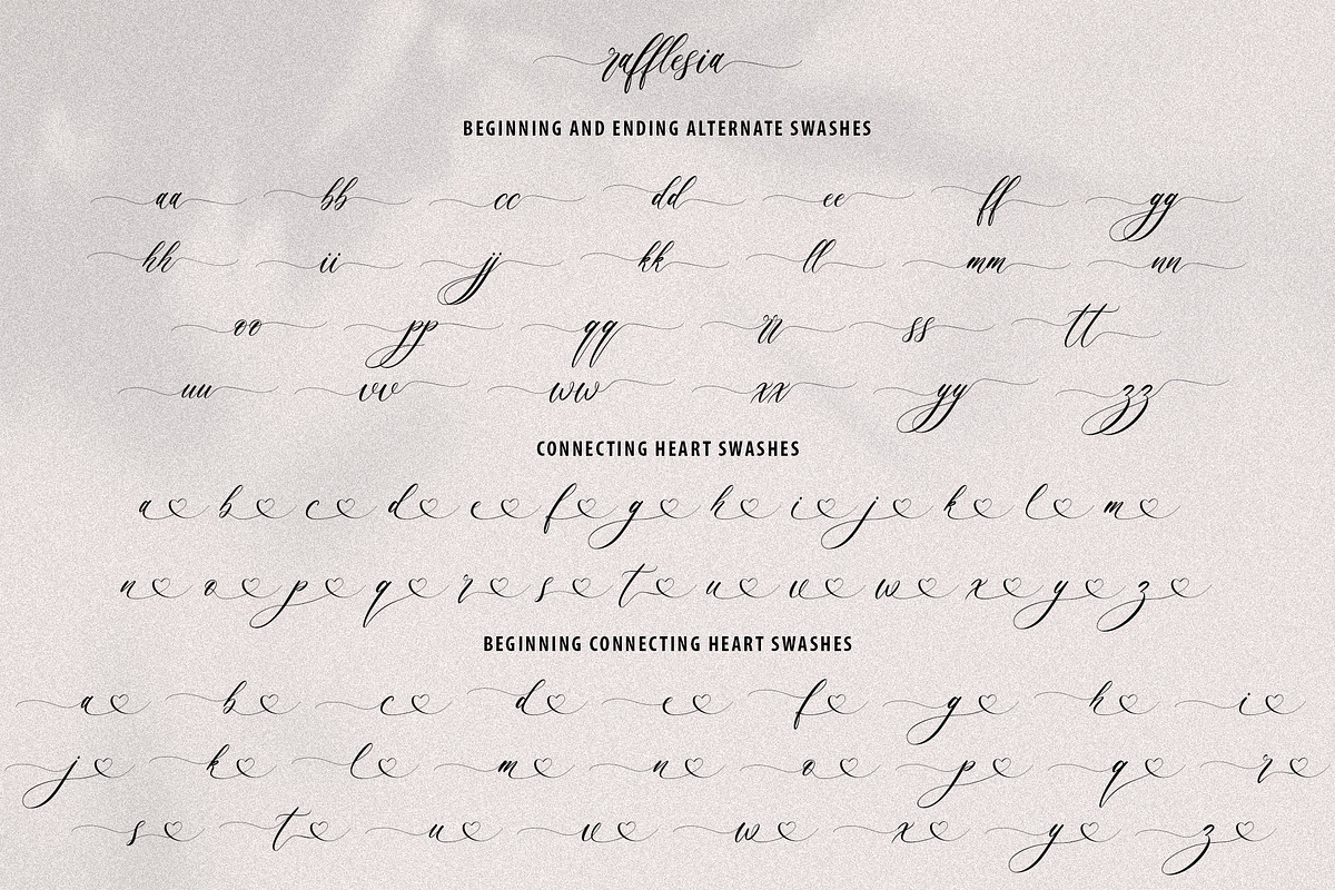 Rafflesia - Modern Calligraphy