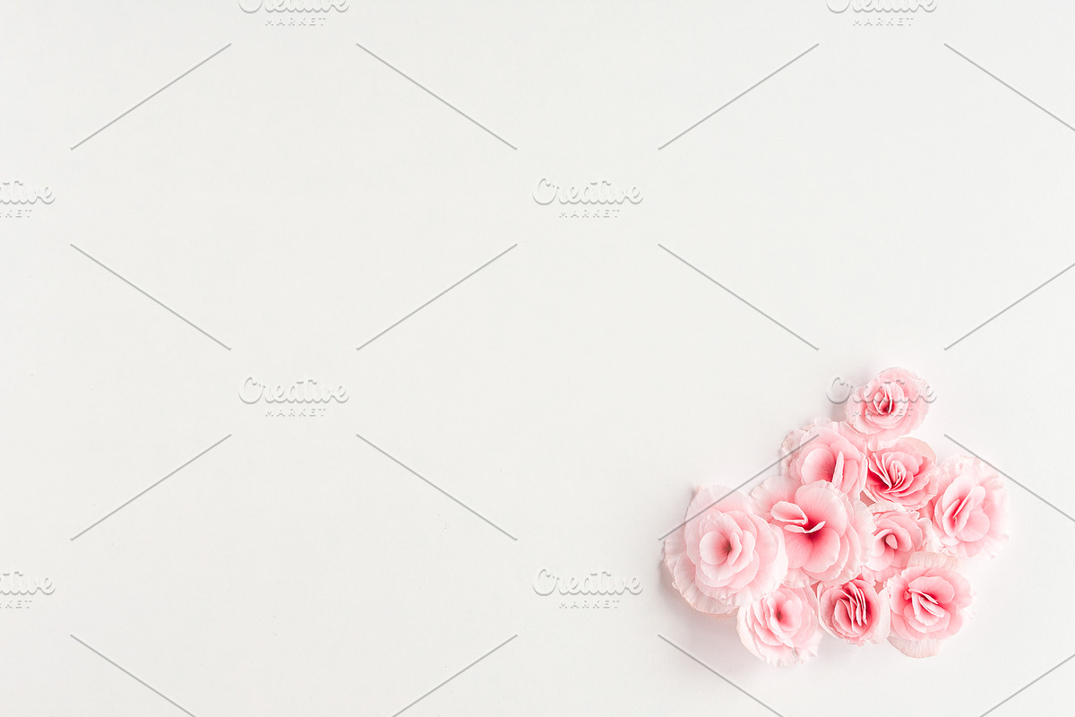 Pink & White Bundle - Mockups, a Product Mockup by Salt Color Studio