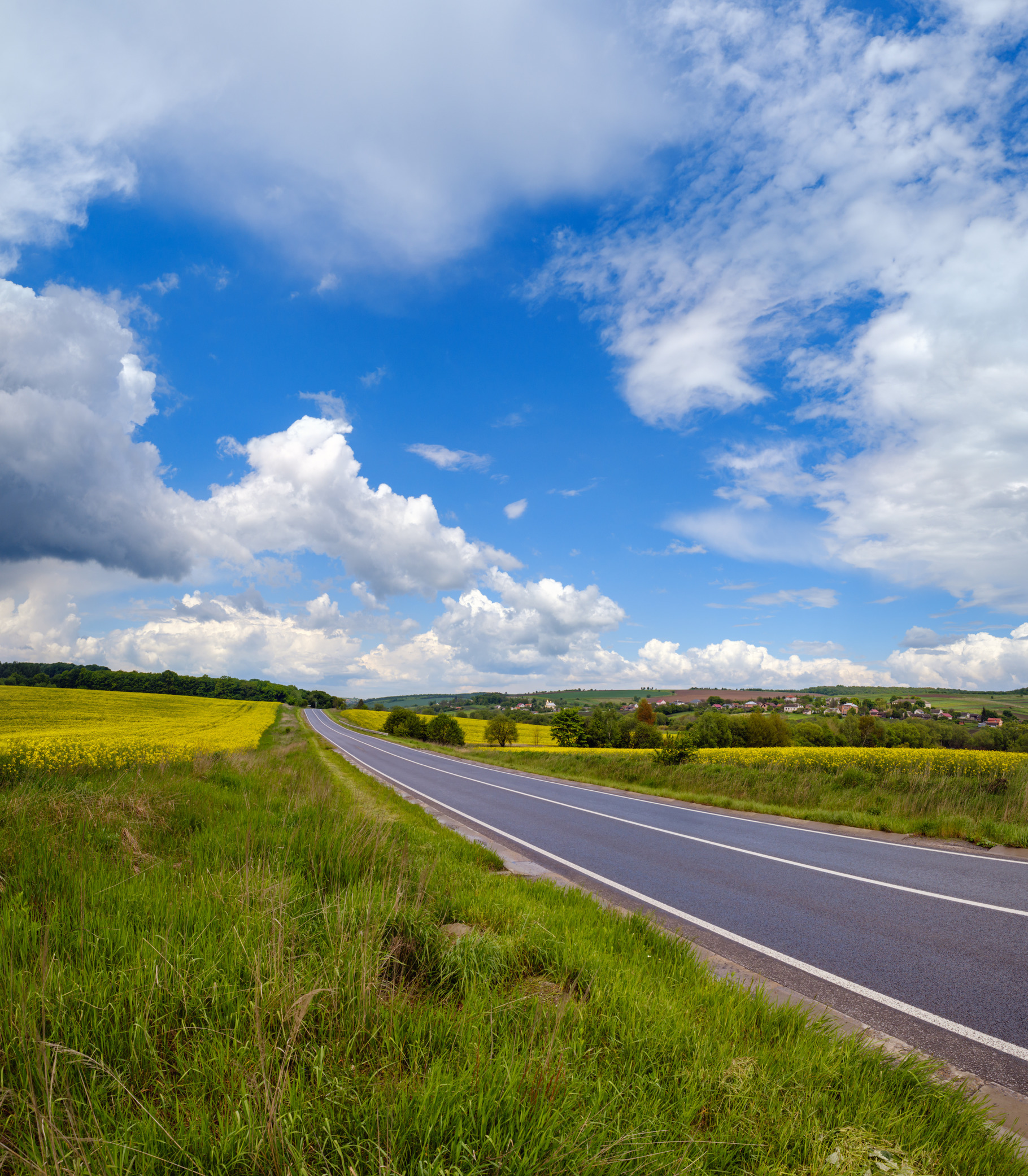 Road through spring rapeseed yellow blooming fields view, blue sky with ...