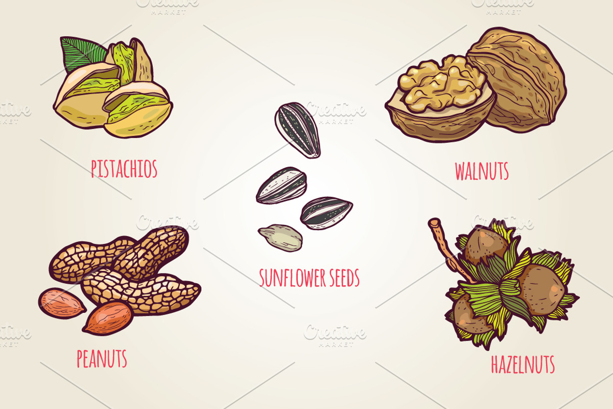 Hand drawn nuts and patterns pack., a Food Illustration by smallDrawing