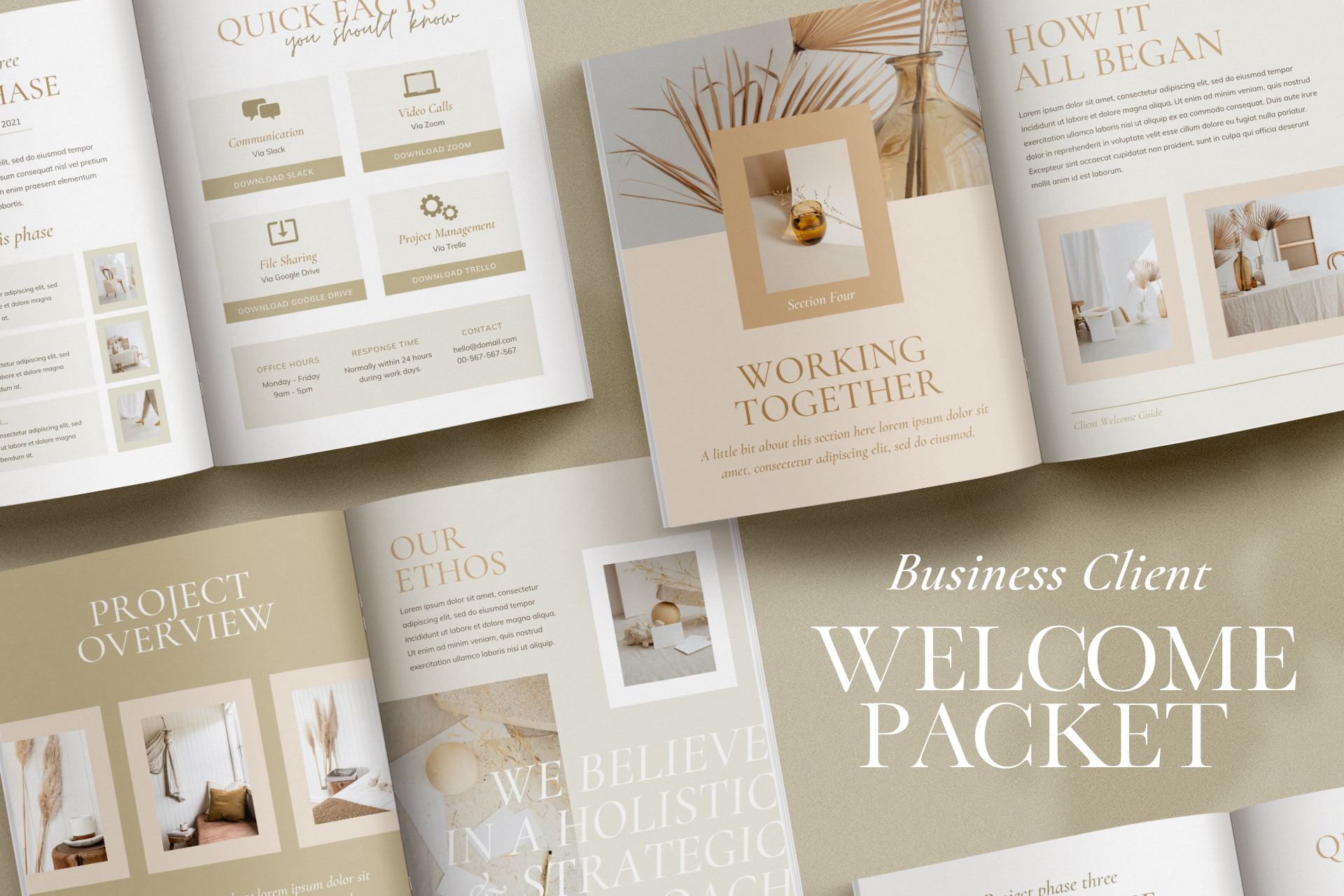 Client Welcome Packet Template, a Brochure Template by Studio Loire