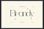 Brandy Charming Display Font, a Serif Font by infernostudio3