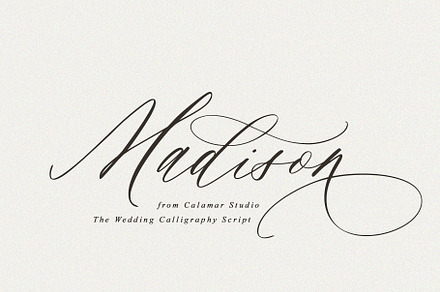 Giselle Script, a Script Font by Calamar Studio