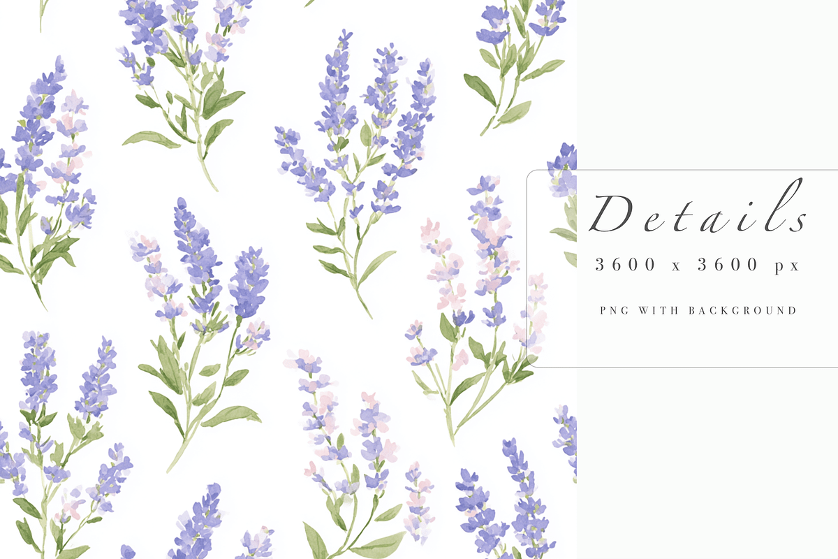 Watercolor Lavender Seamless Pattern