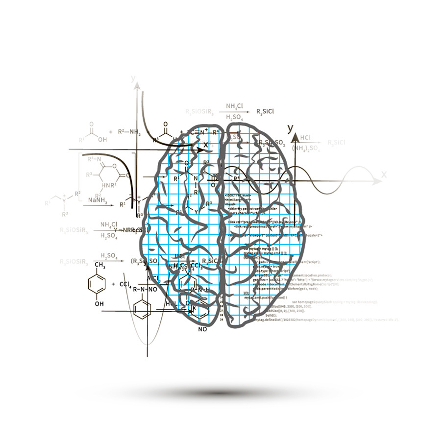 Logic human brain in top view | Graphic Objects ~ Creative Market