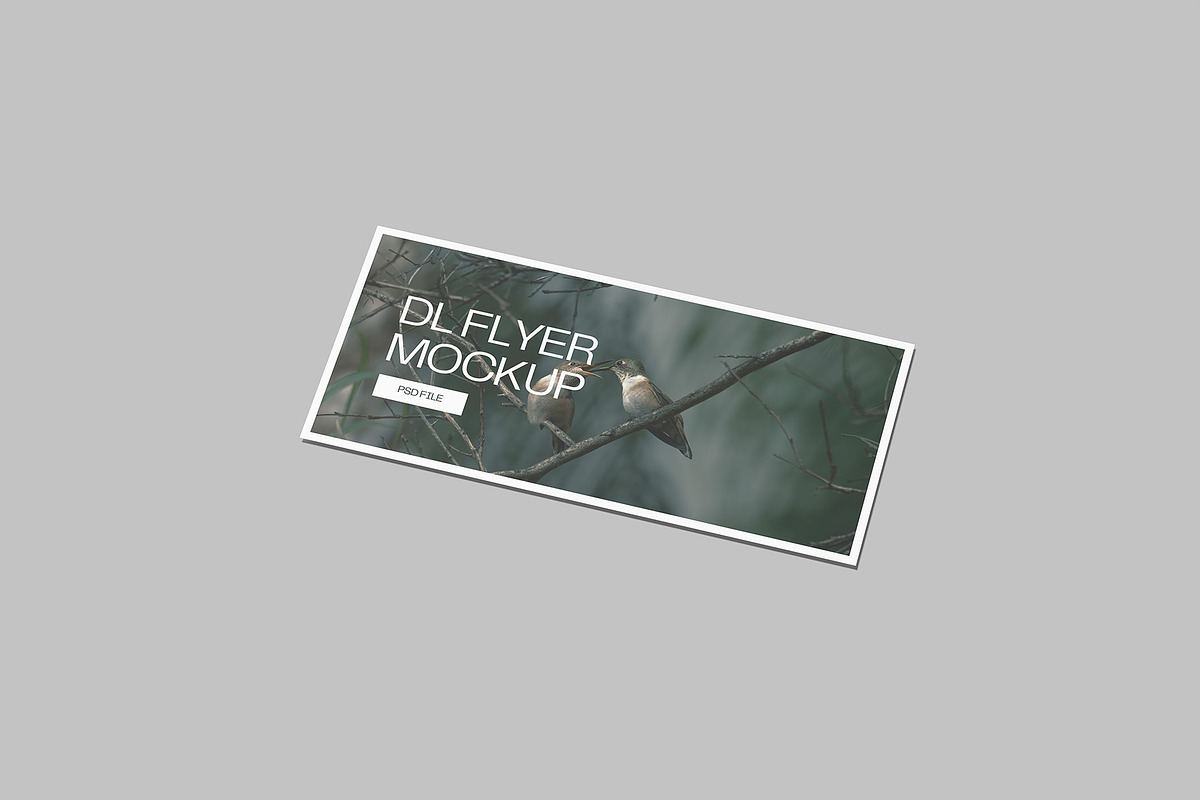 Landscape DL Flyer Mockup, a Print Template by Graphiculon