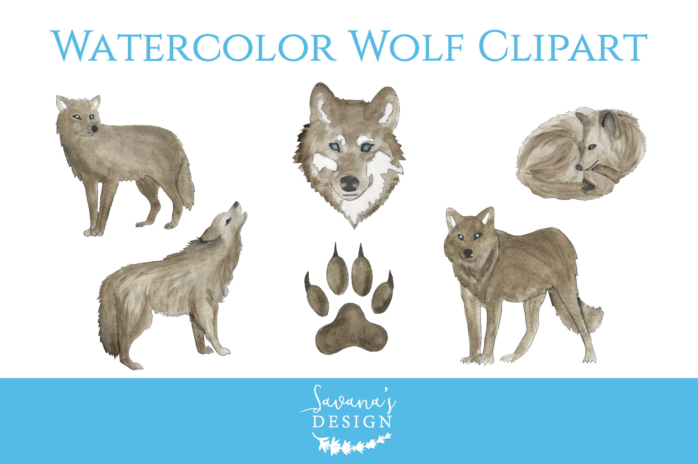 Watercolor Wolf Clipart, an Animal Illustration by SavanasDesign