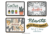 PLANTS BUNDLE - Procreate Stamps, a Brush Add-On by Michelle Kirsch Creative