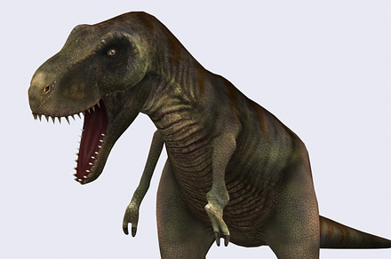 DARKNESS SPIDER fbx only, an Animal 3D Model by PROTOFACTOR