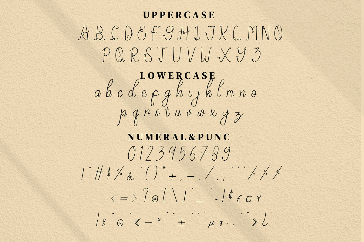 Dreeyan Script Fonts, a Script Font by mahstudios