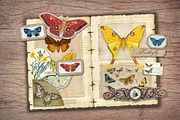 Butterfly Scrapbook Kit | Creative Market