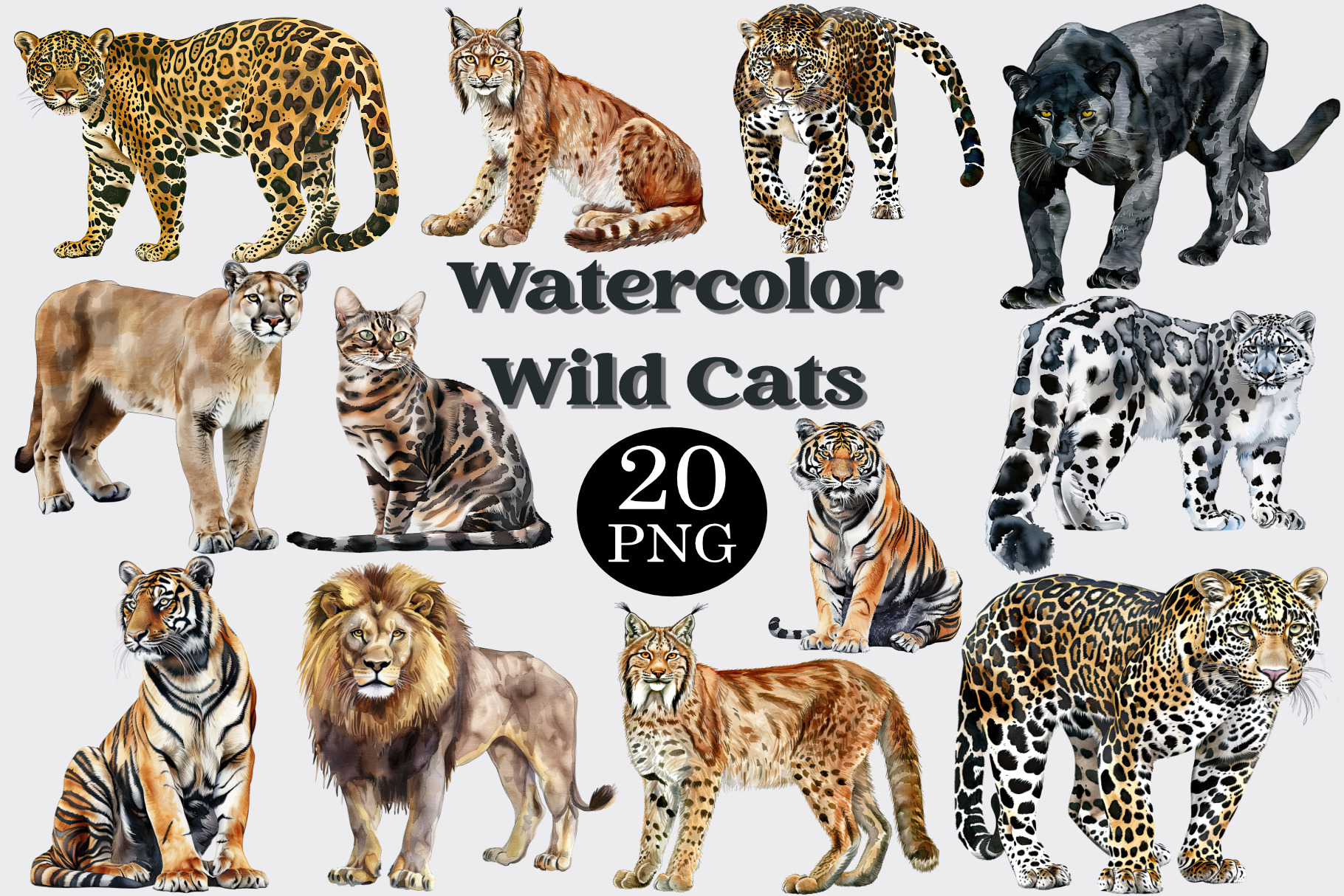 Watercolor Wild Cats Clipart Set