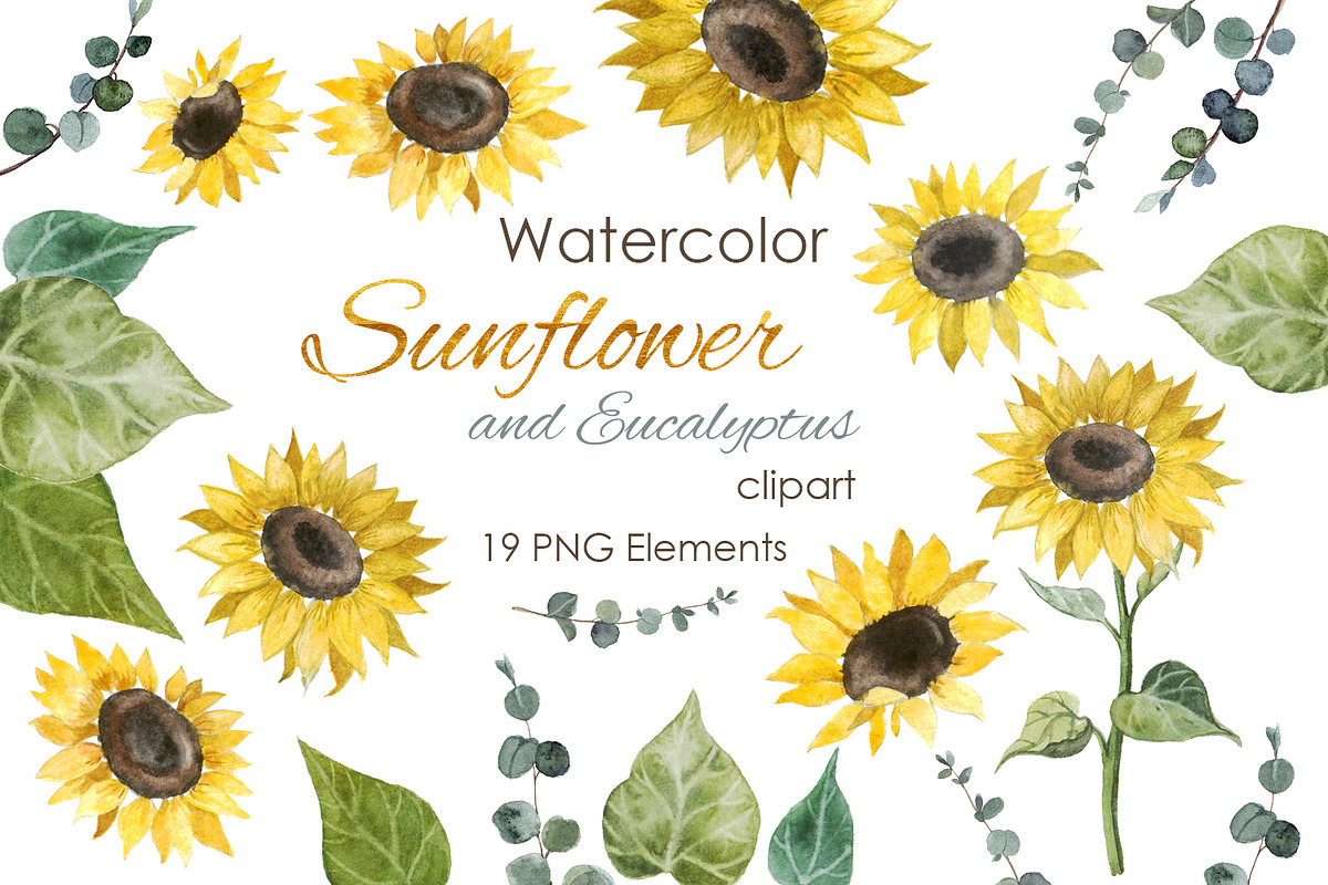 Watercolor Clipart Sunflower PNG, a Decorative Illustration by ...
