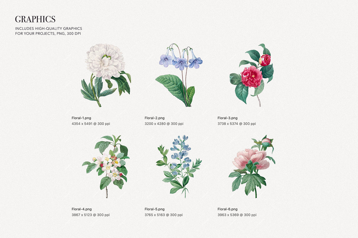 Botanical Elegant Floral Pattern, an Illustration by likorbut