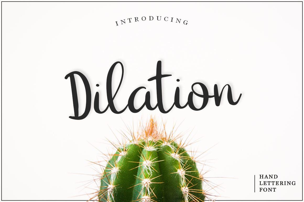 Dilation, a Script Font by Larin Type Co. | Creative Market